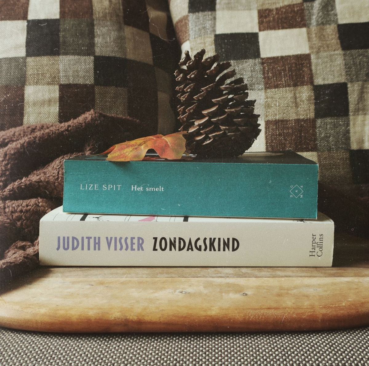 De beste Nederlandse boeken – Romi Reads